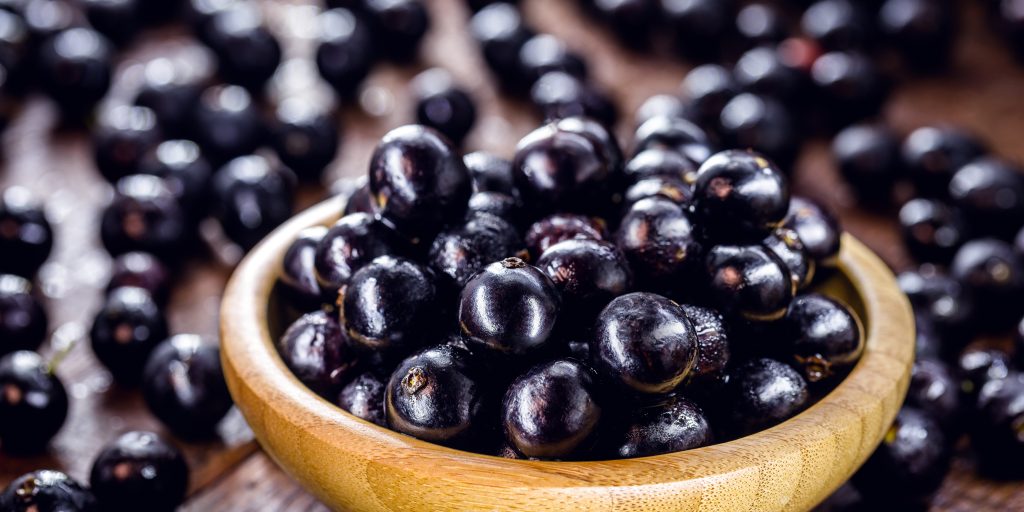 Jabuticaba: safra do mês e benefícios da fruta com a cara do Brasil ...